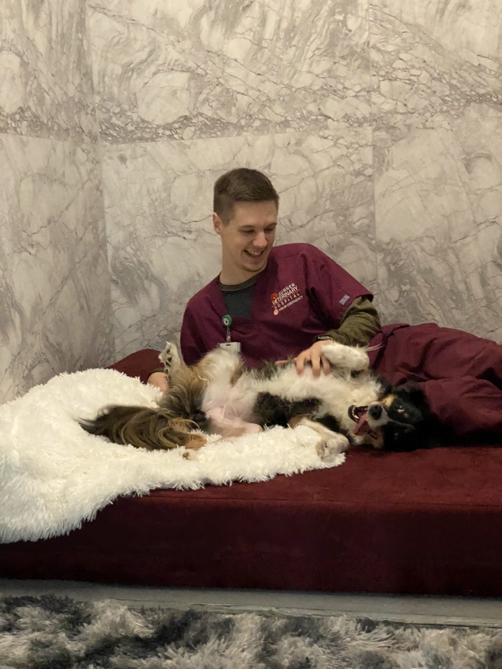 Sumner, WA 98390 Pet Boarding - Sumner Veterinary Hospital